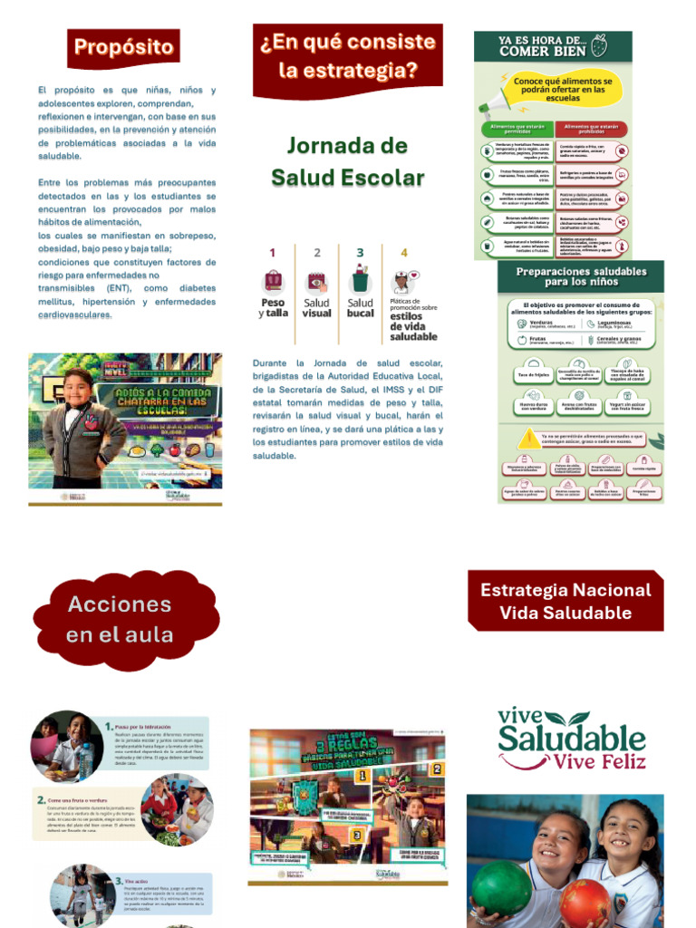Tríptico Vida Saludable - 033928 | PDF
