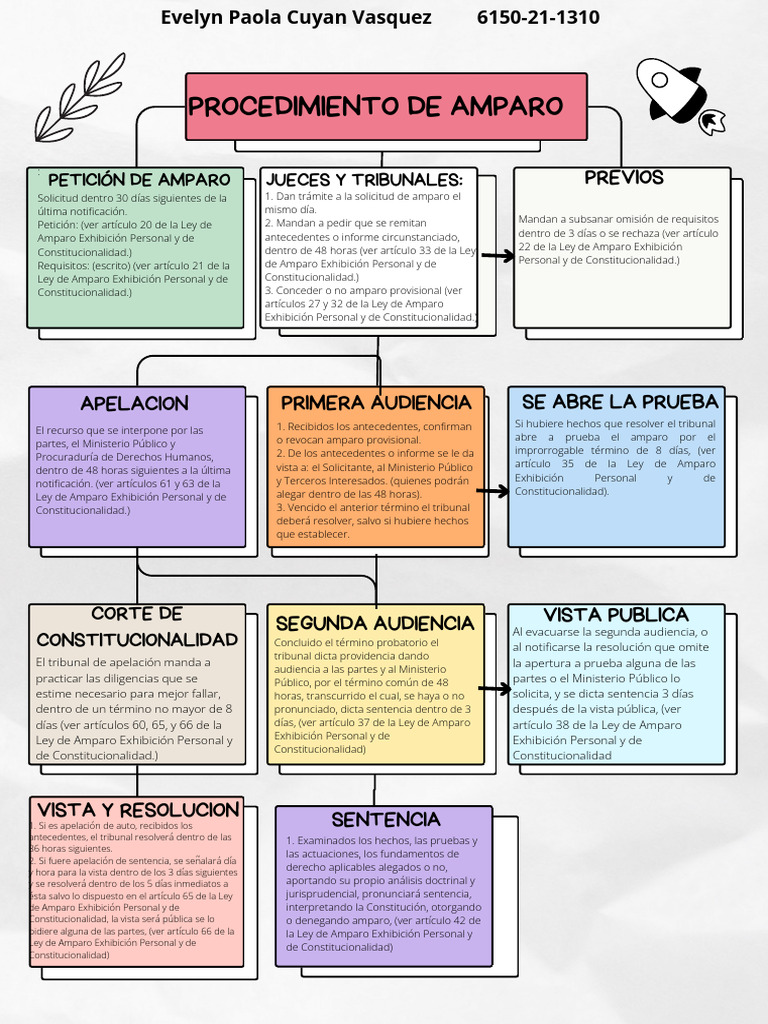 ESQUEMA DE PROCEDIMIENTO DE AMPARO | PDF | Apelación | Caso de ley