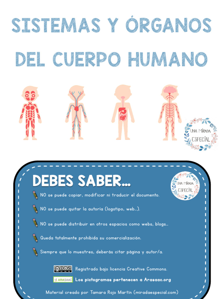 SISTEMAS Y ORGANOS DEL CUERPO HUMANO Ph3edg | PDF | Sistema ...