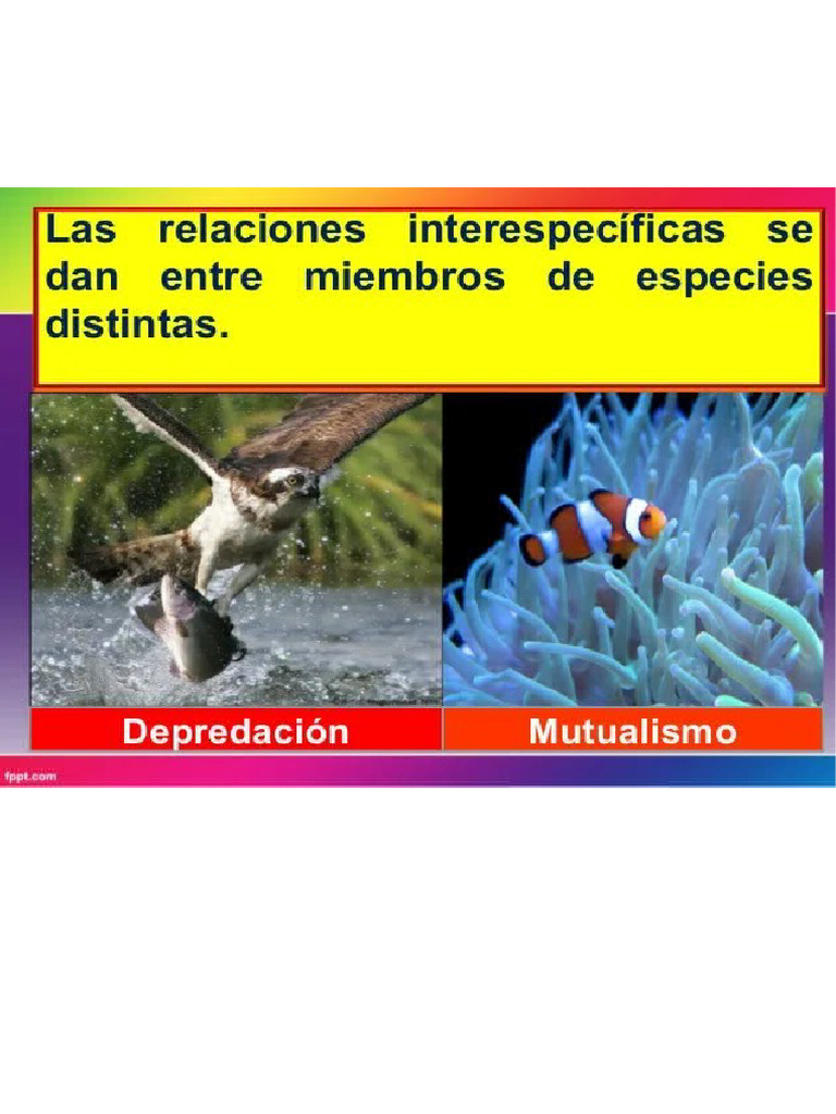 Relacioes Interespecificas 2 | PDF