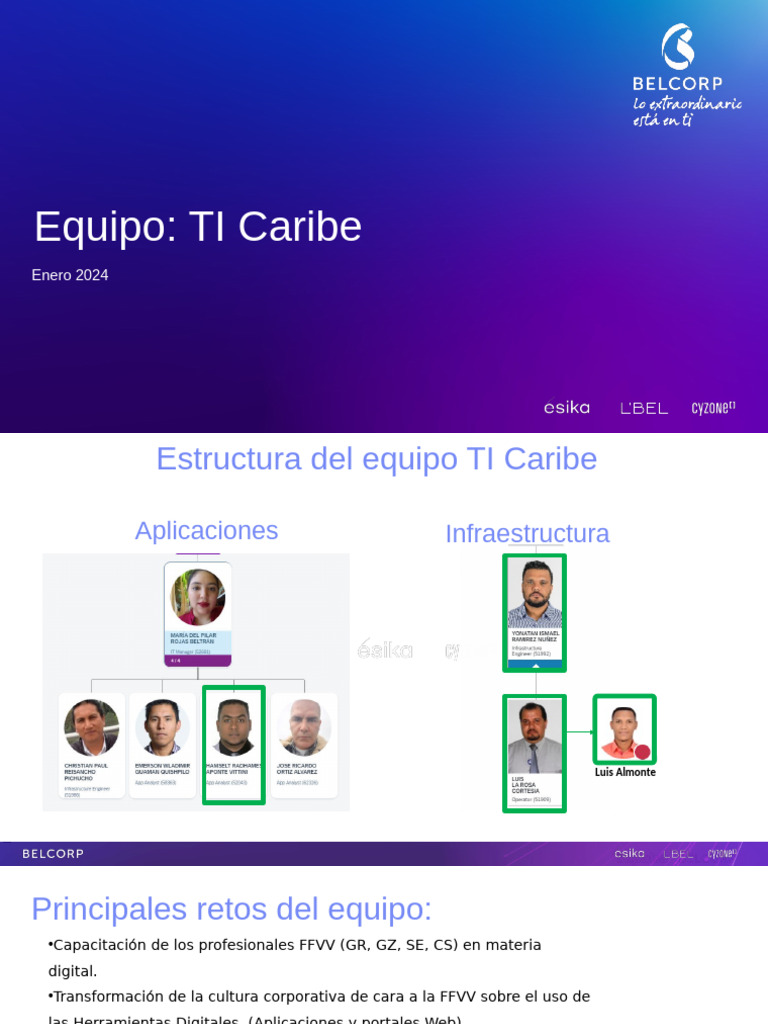 Capacitación y Soporte para FFVV | PDF | Aplicación movil | Software de ...