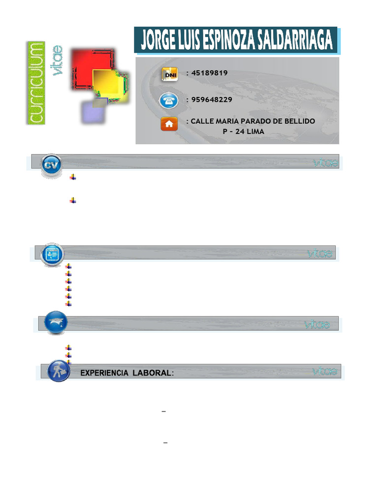 CV Jorge Luis Espinoza Saldarriaga 2024 C | PDF | Andamio