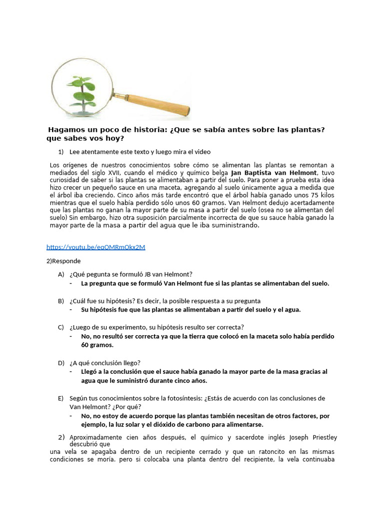Explorando Ideas Sobre Las Plantas | PDF | Vela | Experimentar