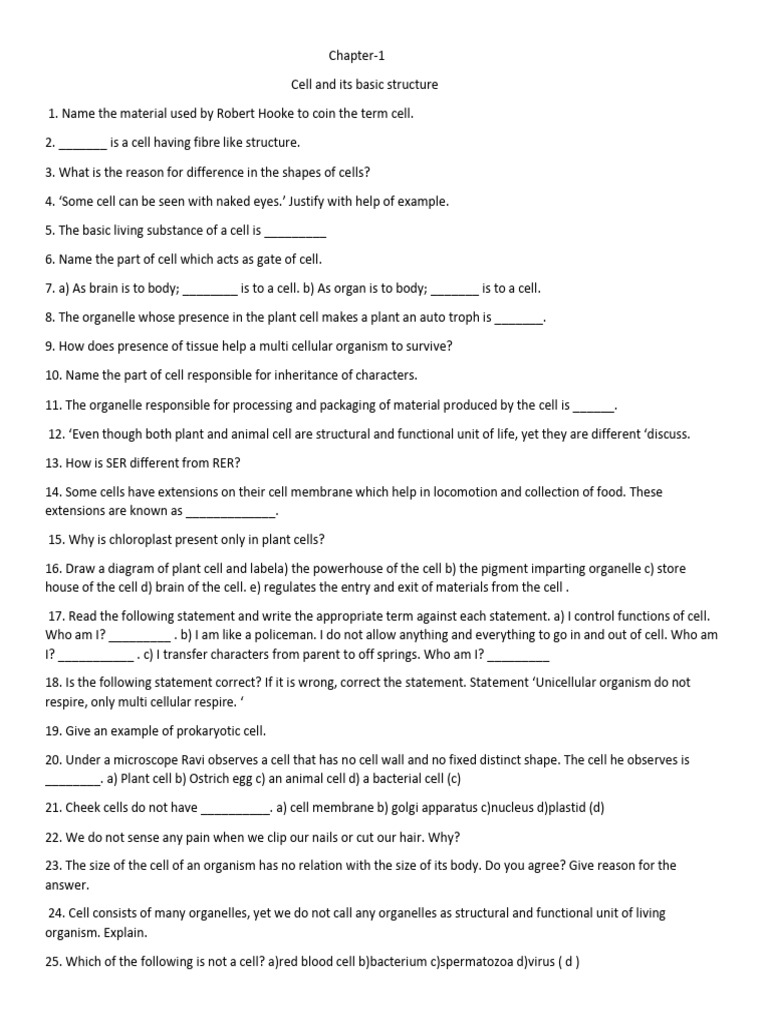 Chapter 1 Class 8 | PDF | Cell (Biology) | Organelle