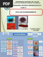 Conejo de mar: características y toxicidad | PDF | Huevo | Zoología