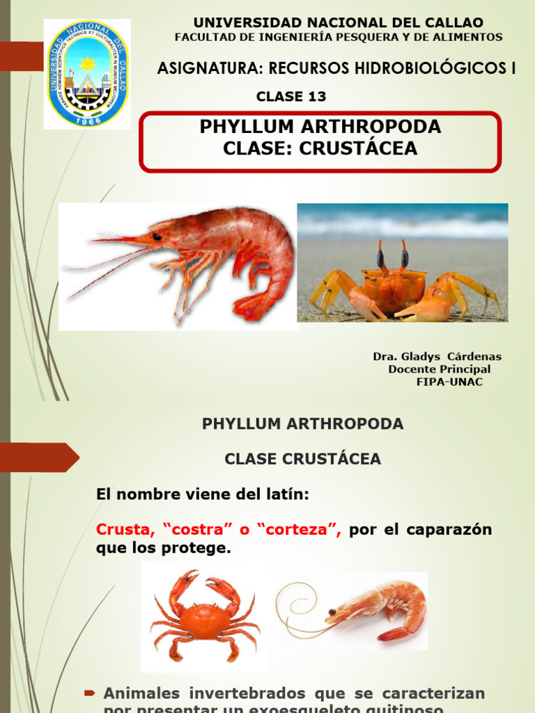 Tipos y Ecología de Crustáceos | PDF | Crustáceo