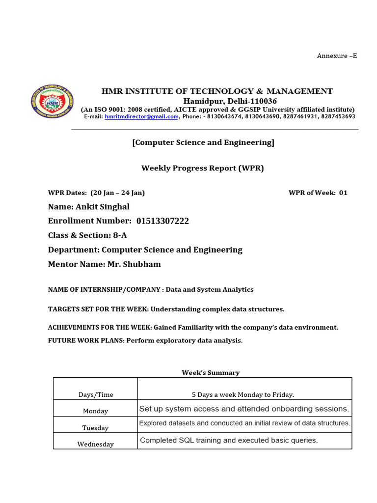 HMR Internship Weekly Progress Report | PDF