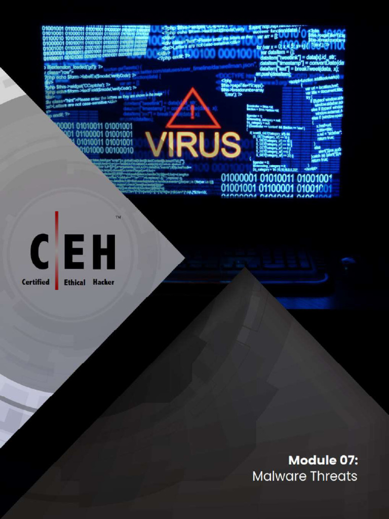 CeH II Modulo 2 | PDF