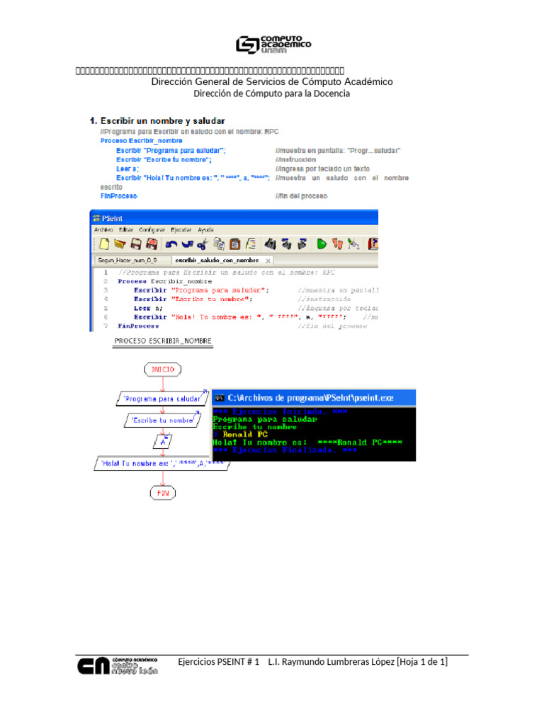 01 Ejercicios PSEINT | PDF