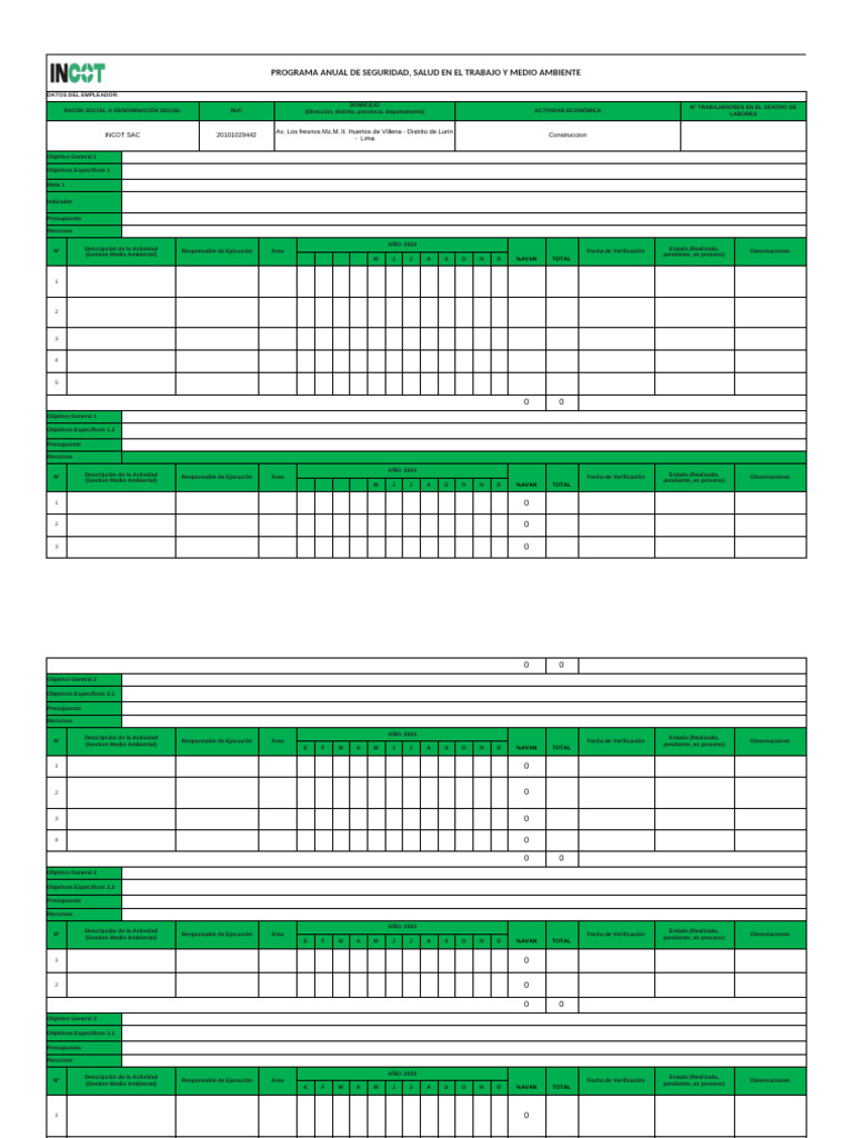 PS4-SEG-02 Programa Anual SST | PDF