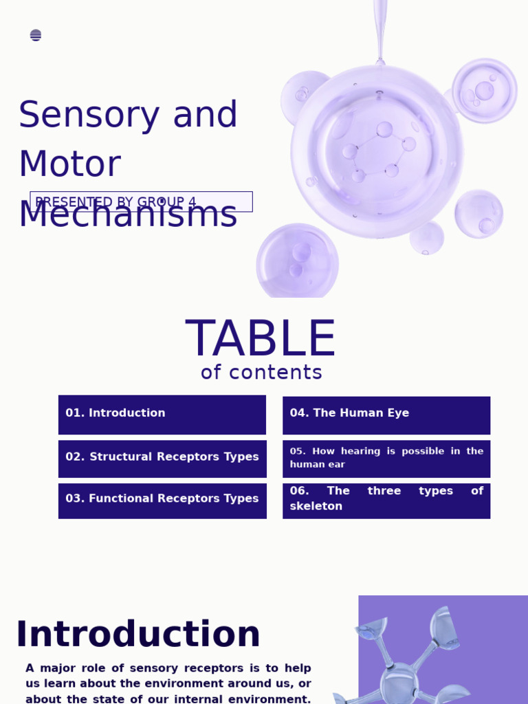 Group 4 Lesson 8 Bio | PDF | Stimulus (Physiology) | Senses
