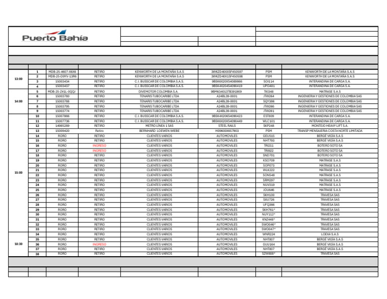 FT-GOPTS-55 Programacion Diaria Carga General ENERO 302025 - PM | PDF