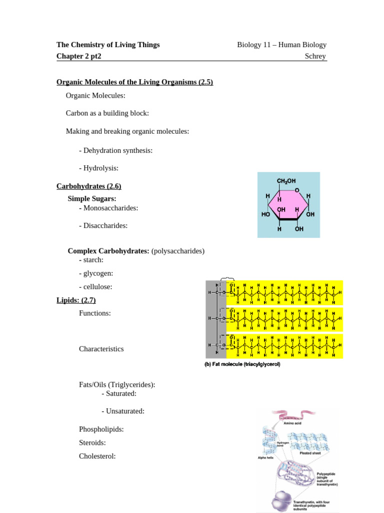 The Chemistry of Living Things Chapter 2 pt2 | PDF