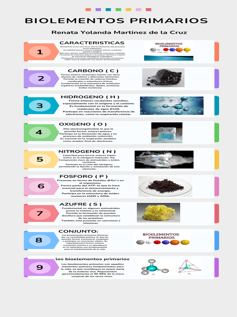 Bioelementos Primarios | PDF | Organismos | Enlace químico