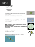 Anatomía de un pez y sus partes | PDF | Branquia | Pescado