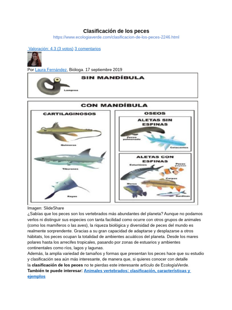 Clasificación de los Peces: Tipos y Características | PDF | Pescado ...