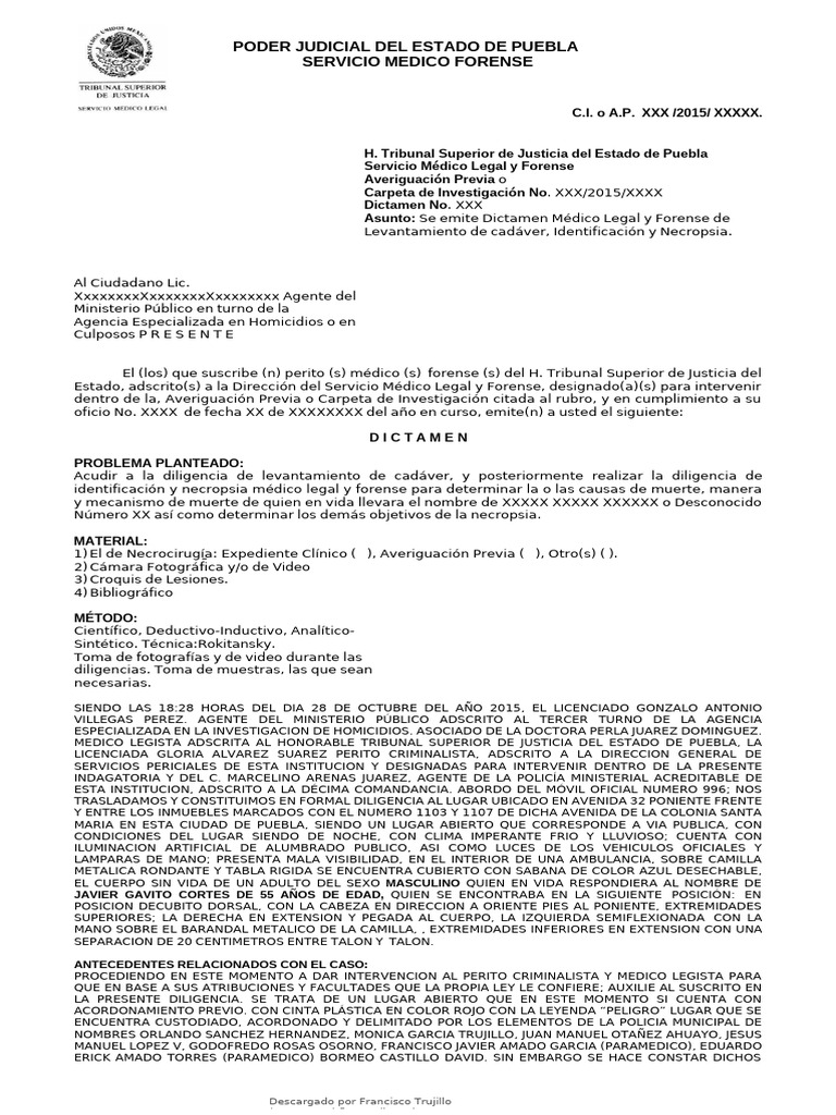 Formato Completo Dictamen | PDF | Jurisprudencia médica | Anatomia animal