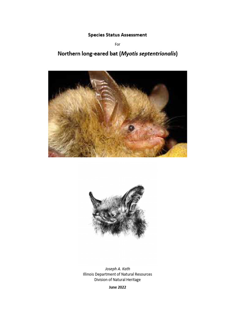 Species Status Assessment For Northern long-eared bat (Myotis ...