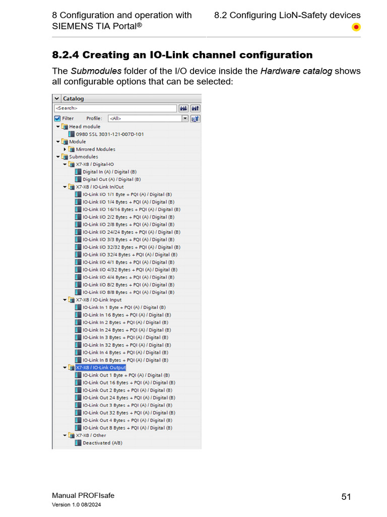 Mannual of LION-X Safety IO Modules 2 | PDF | Parameter (Computer Programming) | Input/Output