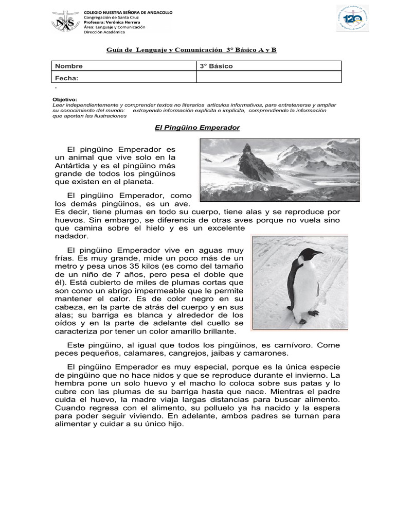 El Pingüino Emperador: Características y Hábitat | PDF | Pingüino ...