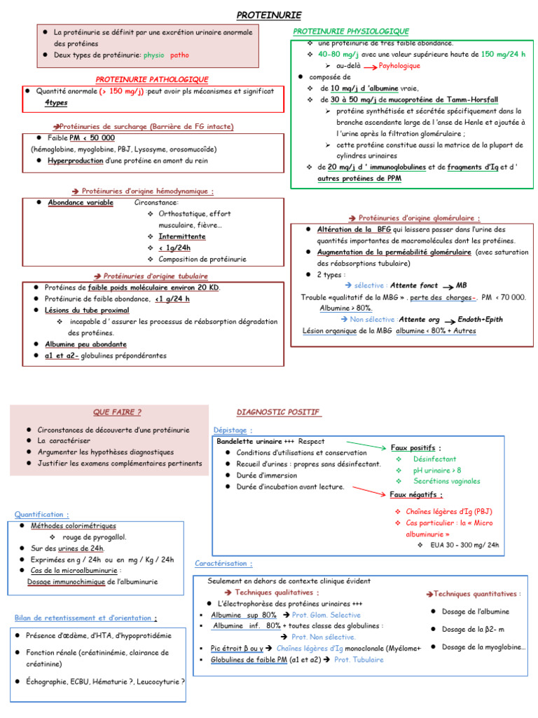 PROTEINURIE | PDF | Urine | Urologie