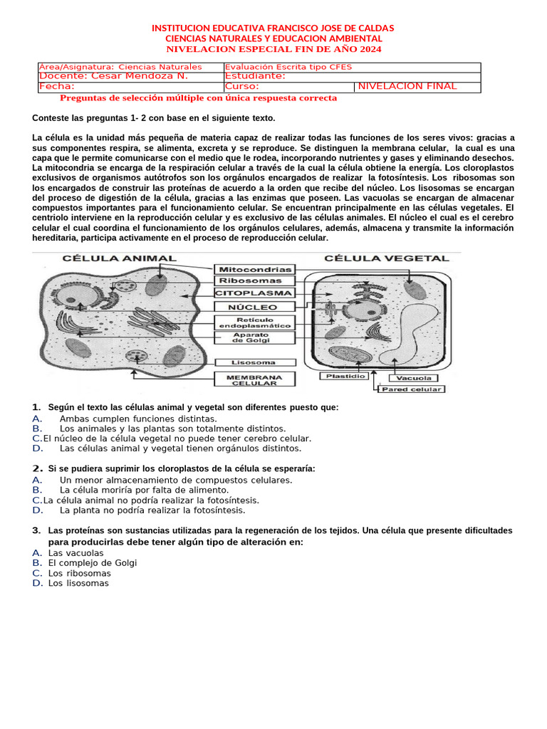 Examen Celulas 31 | PDF | Biología Celular) | Plantas