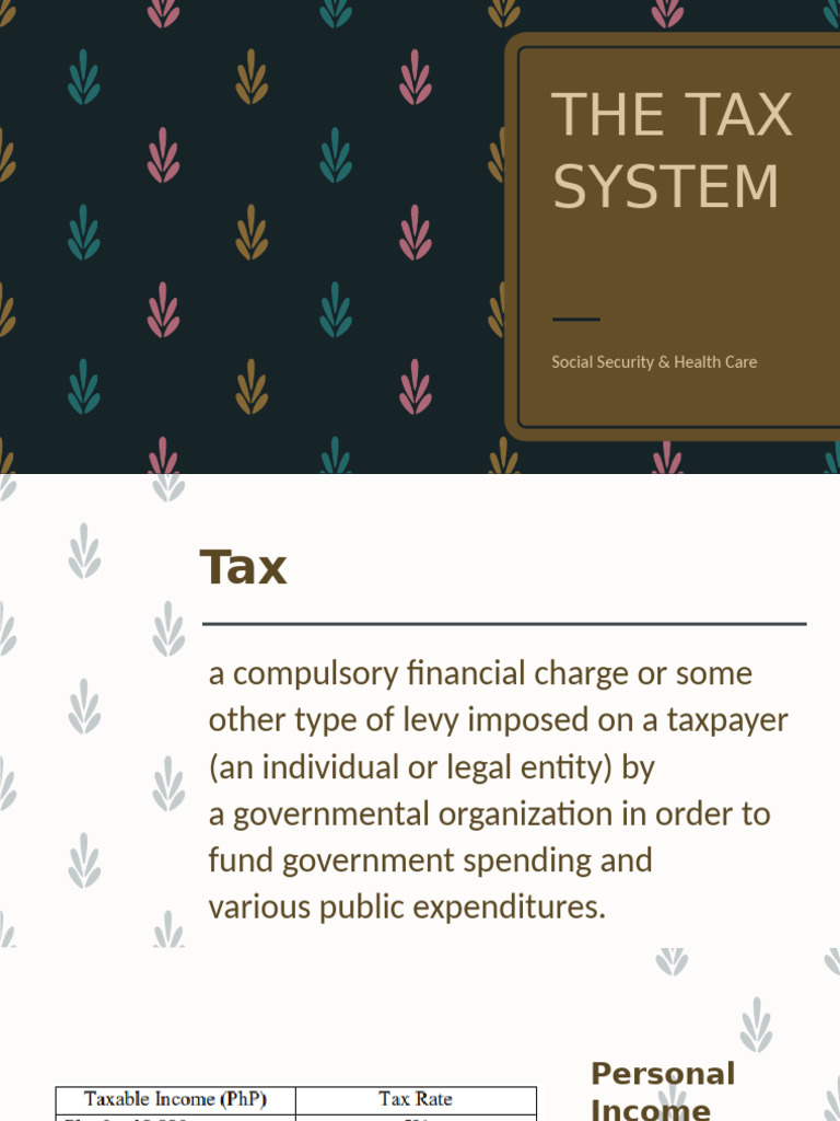 The Tax System | PDF