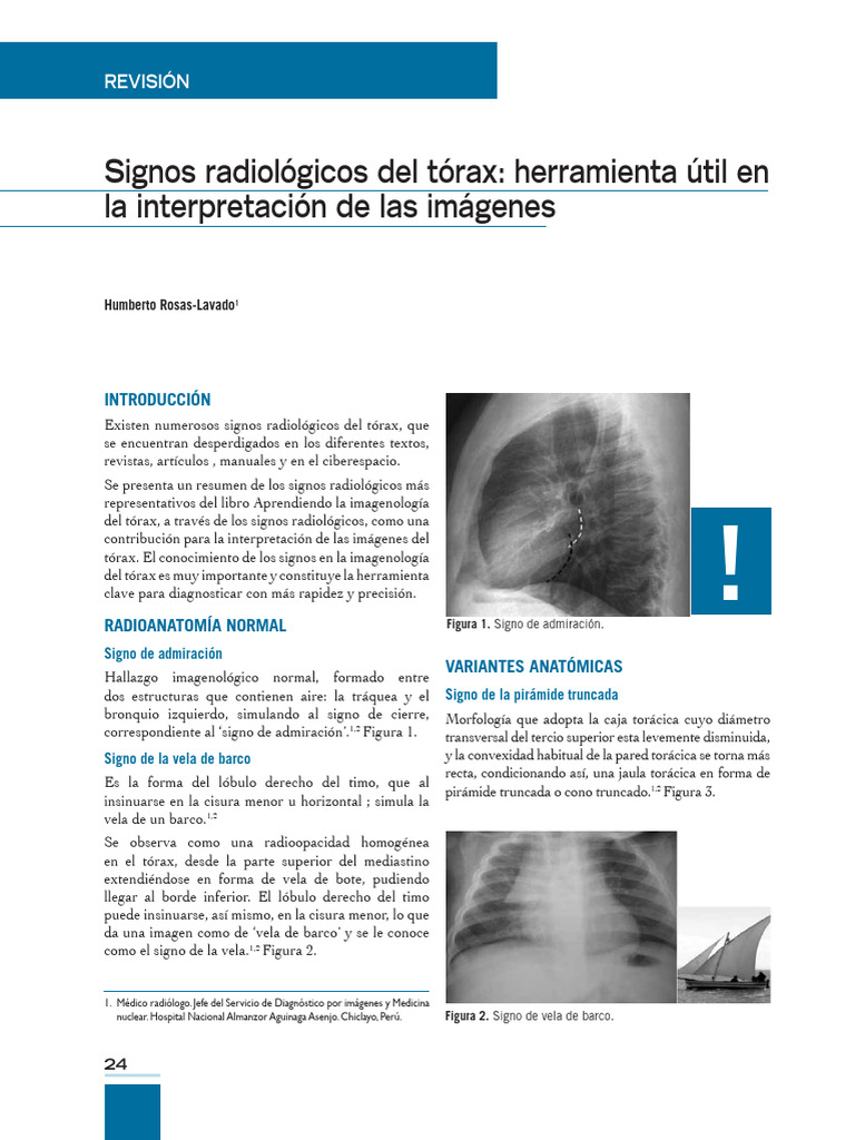 Signos Radiografía | PDF | Tórax | Corazón