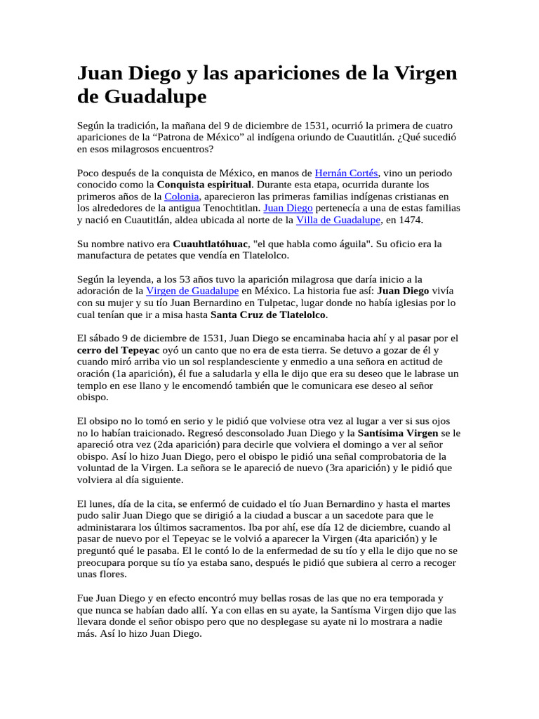 Juan Diego y las Apariciones de Guadalupe | PDF