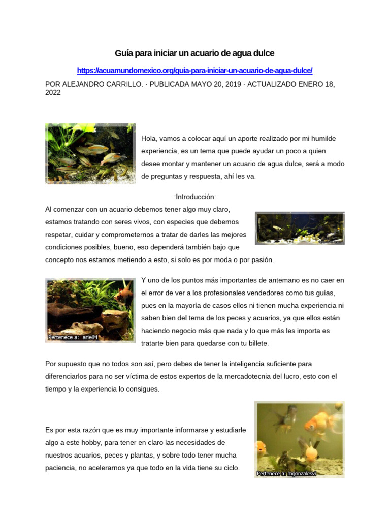 Guía para iniciar un acuario de agua dulce | PDF | Acuario | Agua