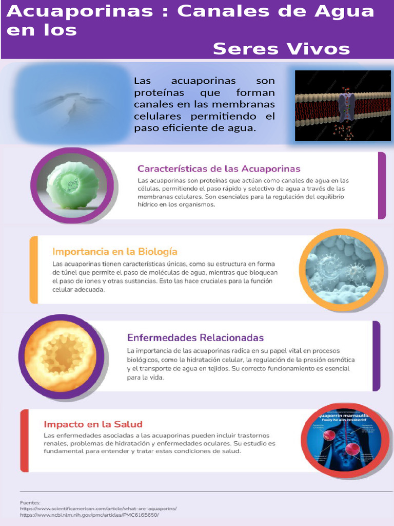 Acuaporinas Hector | PDF