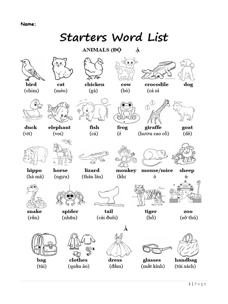 Starters Word List | PDF