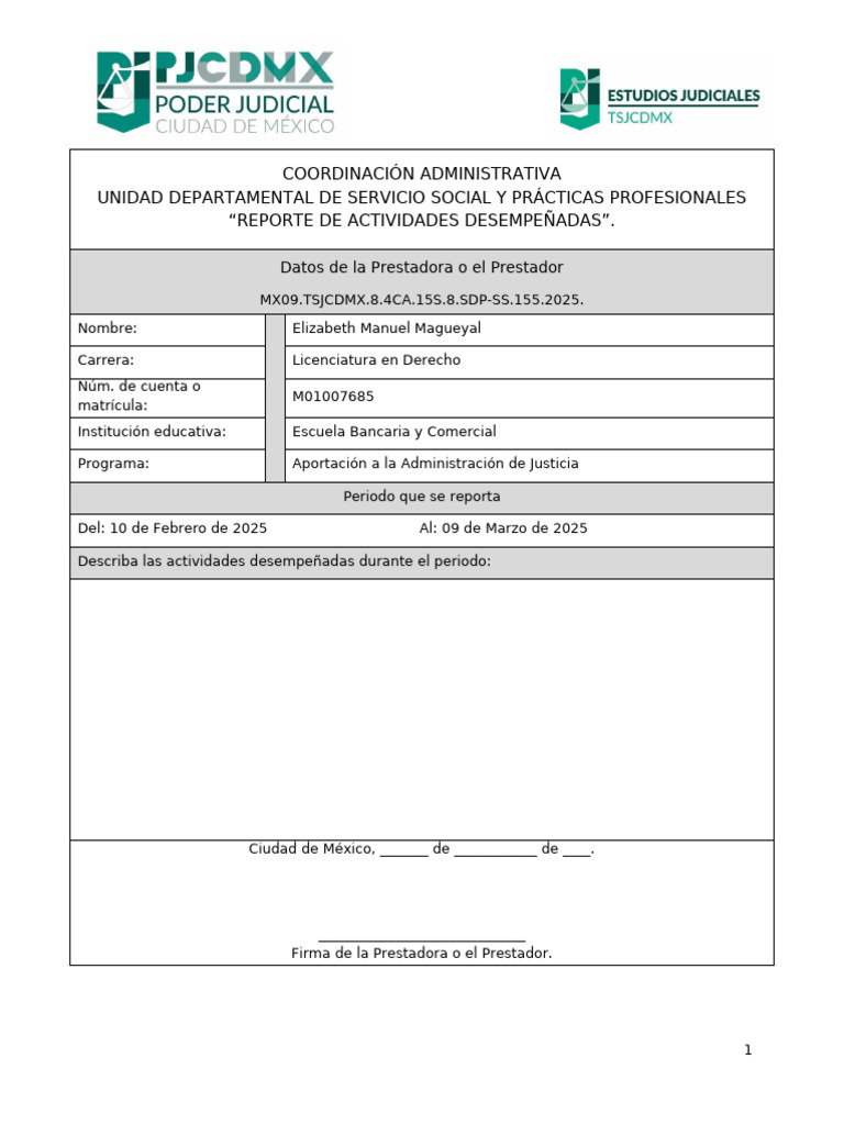 Modelo-Reporte-de-actividades FEB-MAR | PDF