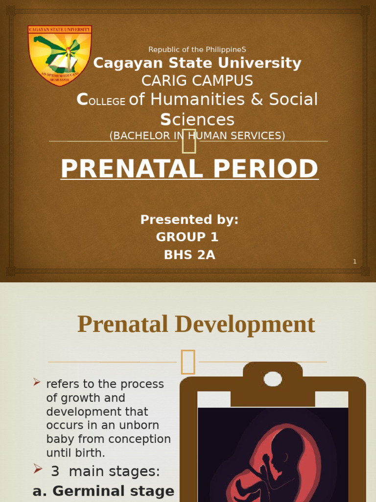 Stages of Prenatal Development Explained | PDF | Childbirth | Prenatal ...