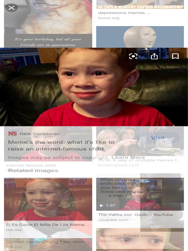 Meme Photos - Google Search | PDF