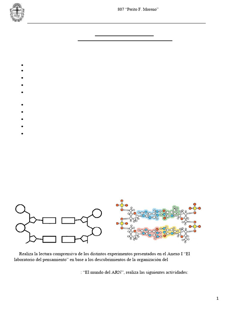 Trabajo_Practico_N_1_Bases_moleculares_de_la_herencia | PDF | Rna | Adn