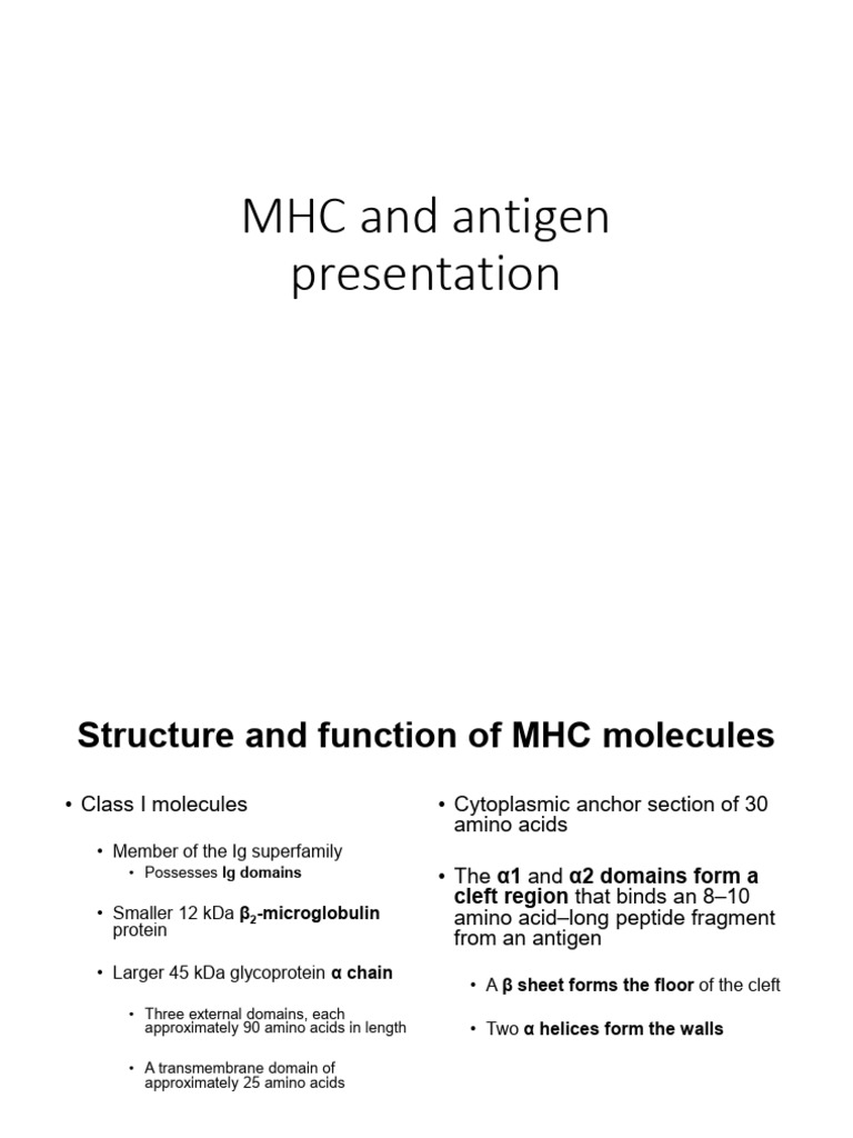 MHC Molecules: Structure and Function | PDF | Major Histocompatibility ...