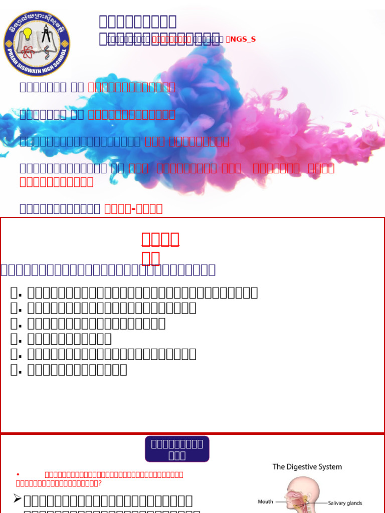 ក្រុមទី - ៩ - ការរំលាយអាហារ (1) (Autosaved) | PDF