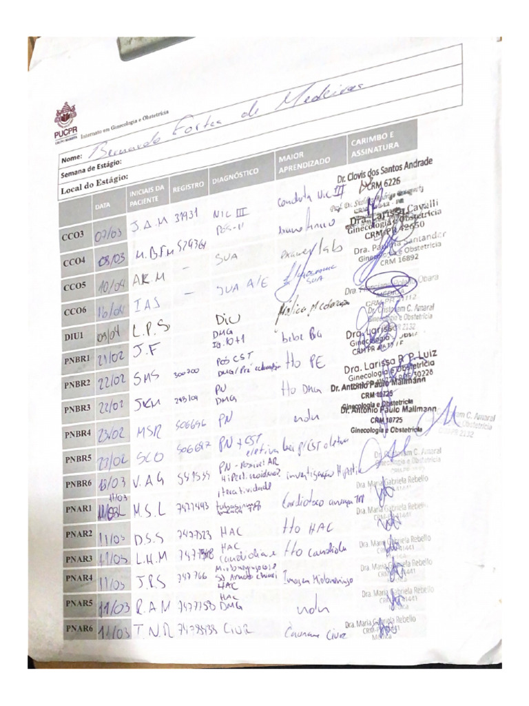 Bernardo Medeiros Go | PDF