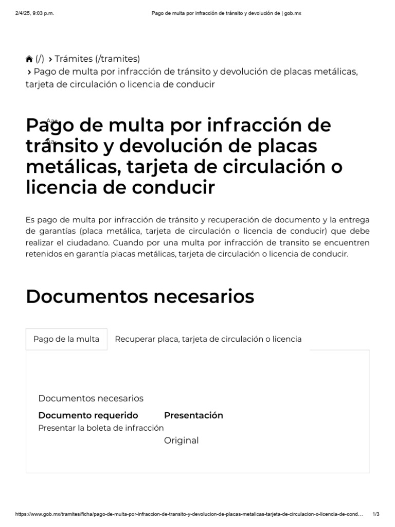 Pago de Multa y Devolución de Documentos | PDF