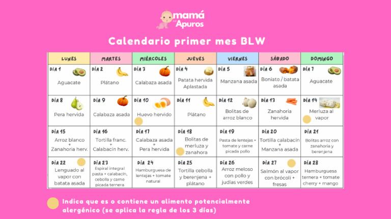 Bono #7 Calendario Primer Mes BLW | PDF
