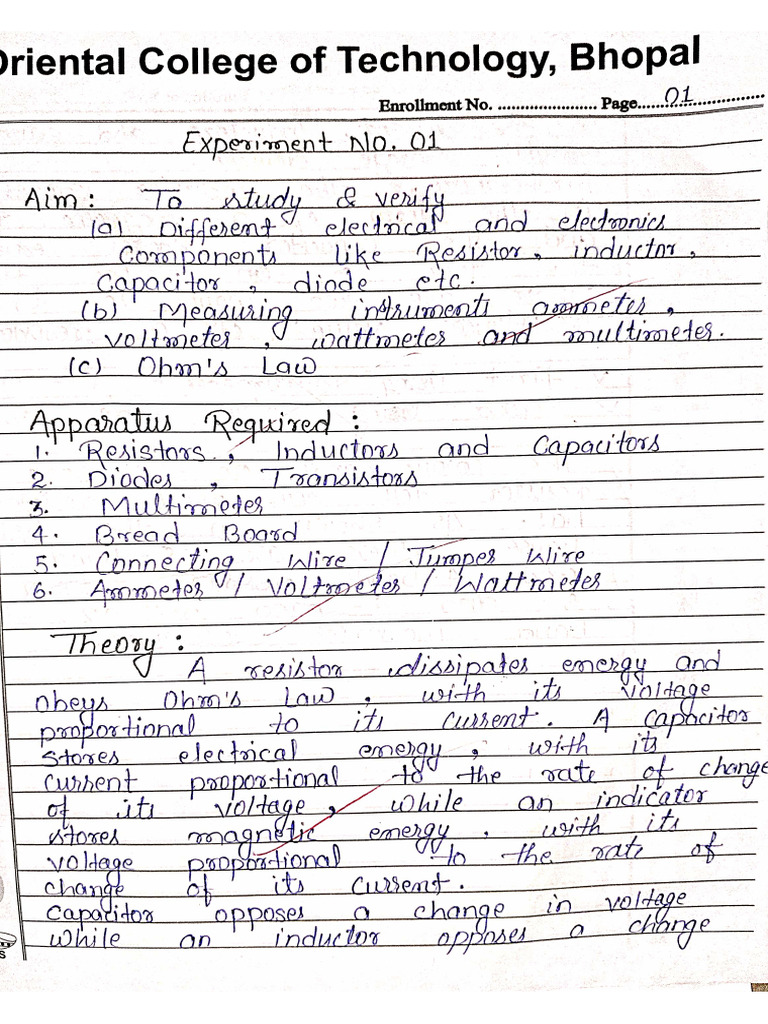 Bee Experiment 1 | PDF