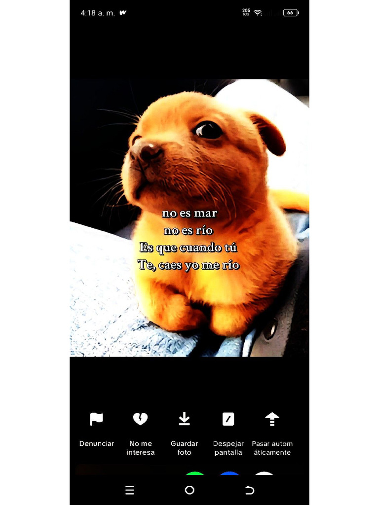 OneRead_20250402_2357 | PDF