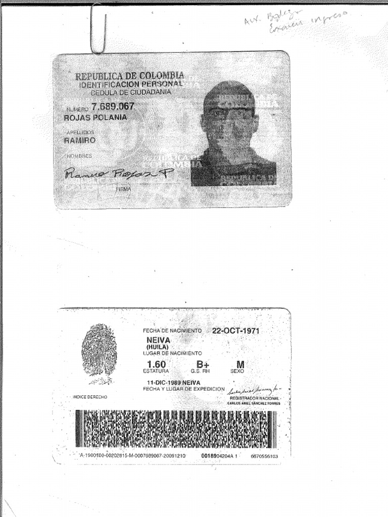 Ramiro Rojas Polaniaa | PDF