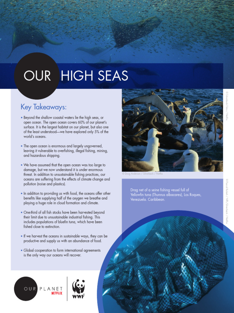 Threats to Our Oceans and Marine Life | PDF | Phytoplankton | Oceans