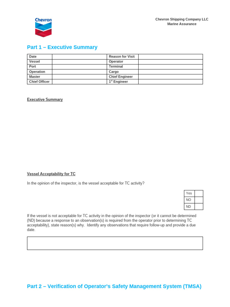 TCM Inspection Template | PDF