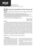 Endemic Trees of the Philippines | PDF | Ficus | Botany