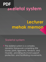 Unlabeled Axial Skeleton Overview | PDF | Skull | Skeletal System