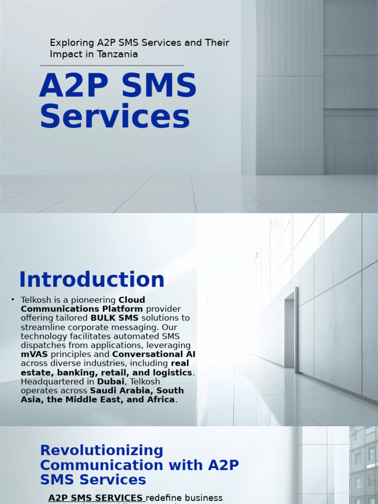 A2P SMS Solutions for Tanzanian Businesses | PDF | Interactive Voice ...