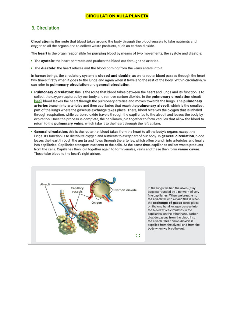 Circulation - Eng y Cast. | PDF